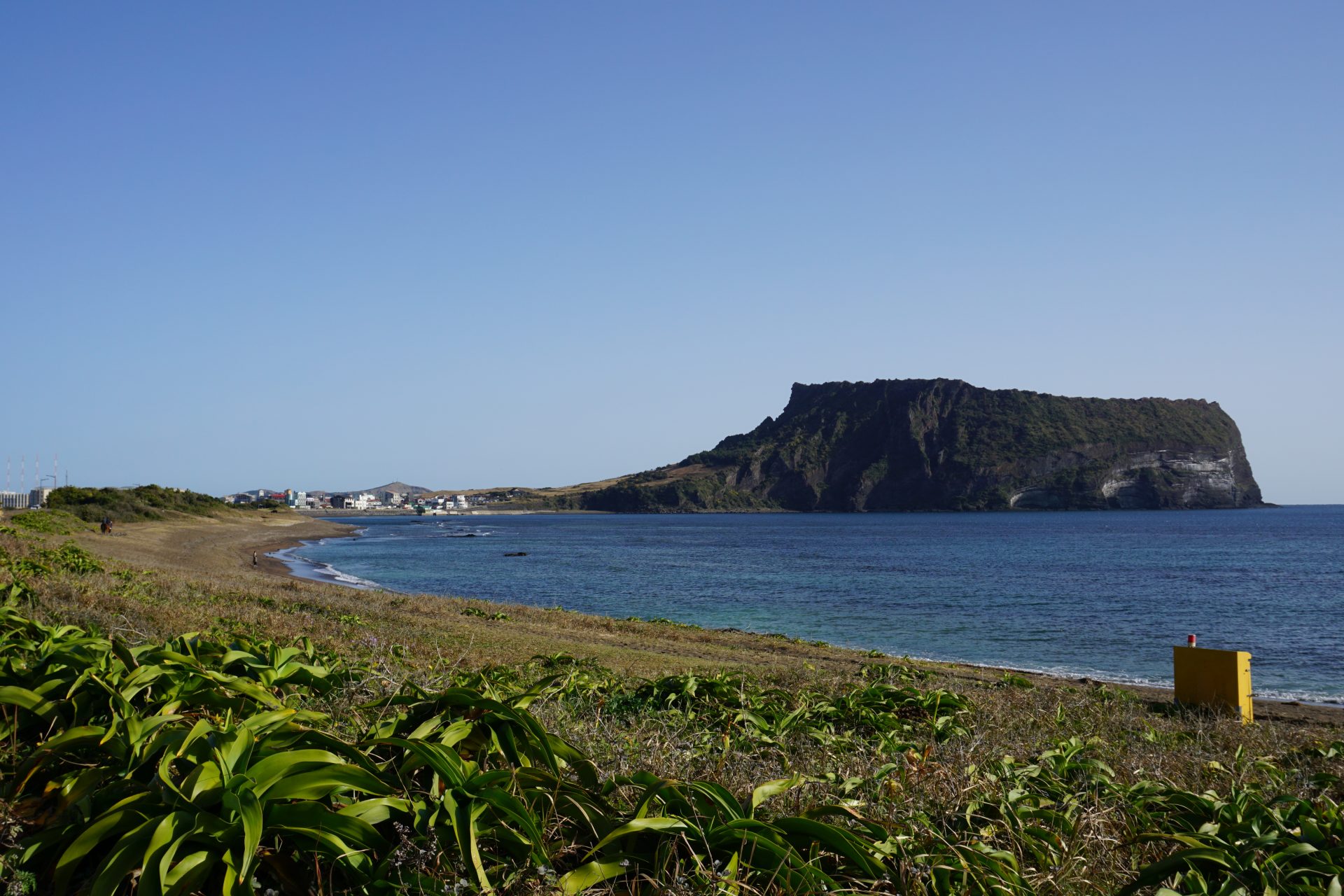 Your Only 8D7N Muslim-Friendly Itinerary to Jeju Island!